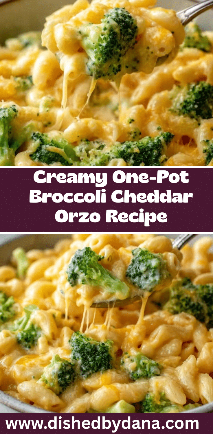 Creamy One-Pot Broccoli Cheddar Orzo - Easy & Delicious